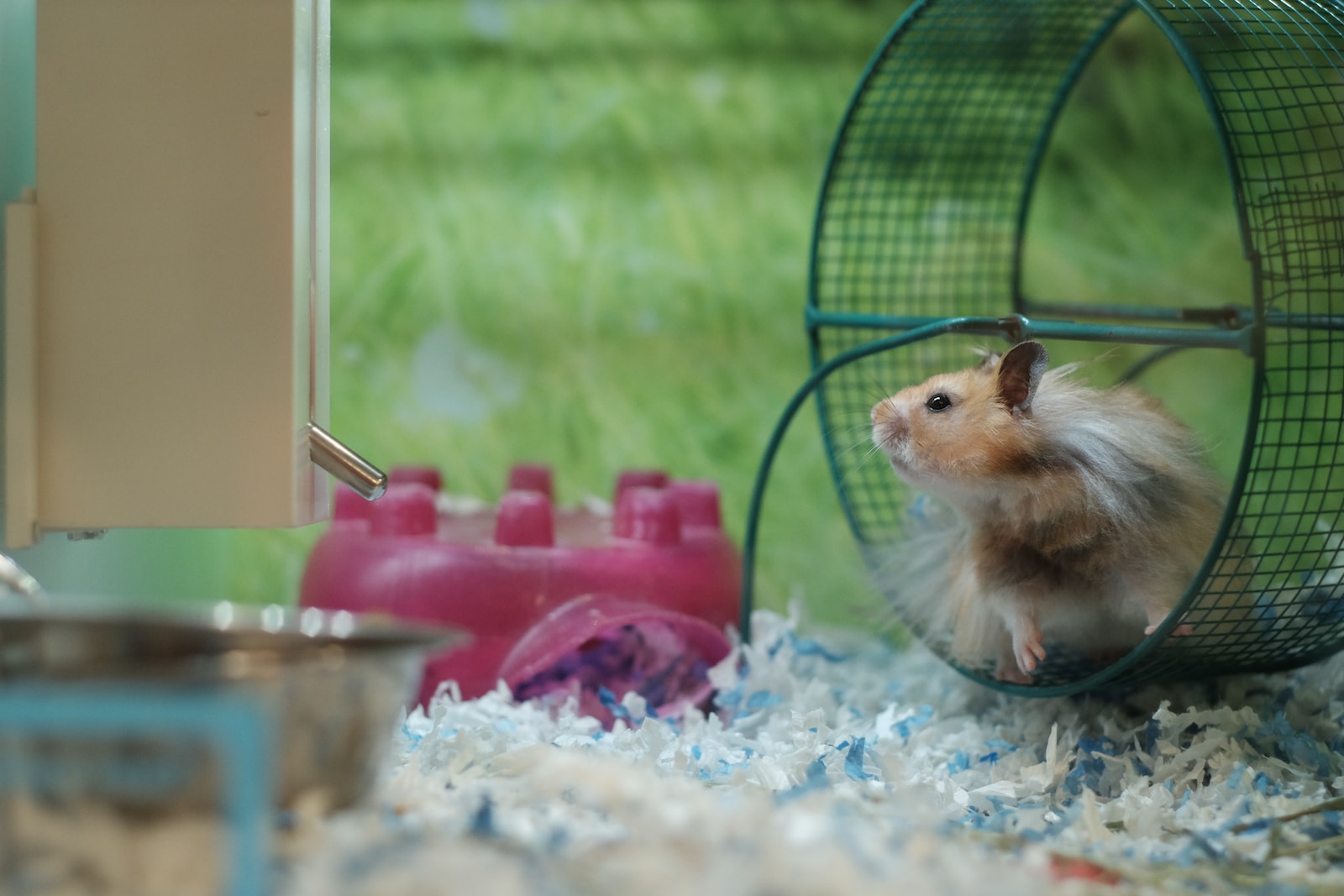 Das Hamsterrad, mein Leben und ich - Volker Hepp